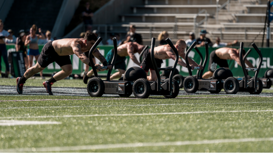 Weight Sled with Wheels - Torque Fitness
