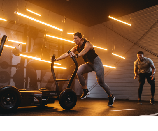 Weight Sled with Wheels - Torque Fitness
