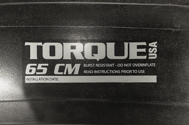 Fitness Stability Balls For Home Gyms | Torque Fitness